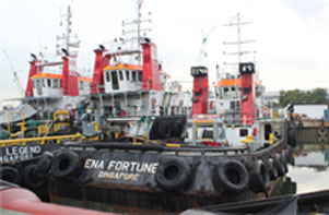 ENA Fortune - Eastern Navigation